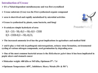 Ureases mimics | PPTX