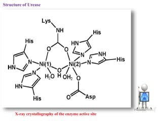 Ureases mimics | PPTX
