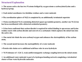 Ureases mimics | PPTX