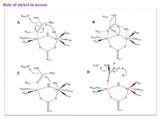 Ureases mimics | PPTX