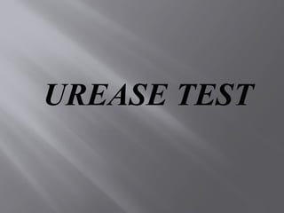 Urease Test.pptx microbiology hematology | PPTX
