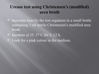 Urease Test.pptx microbiology hematology | PPTX