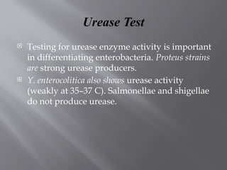 Urease Test.pptx microbiology hematology | PPTX