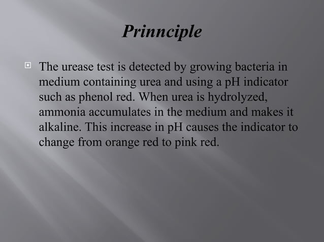 Urease Test.pptx microbiology hematology | PPTX | Infectious Diseases ...