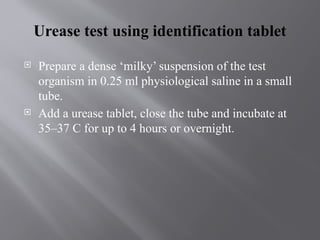 Urease Test.pptx microbiology hematology | PPTX