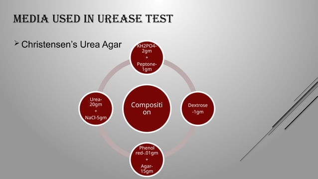 Urease test LAB presentation slides.pptx
