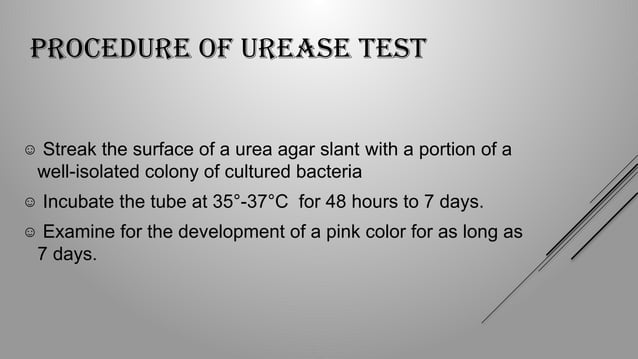 Urease test LAB presentation slides.pptx