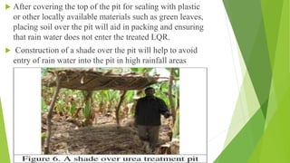 Urea treatment of low quailty roughages | PPTX