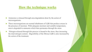 Urea treatment of low quailty roughages | PPTX