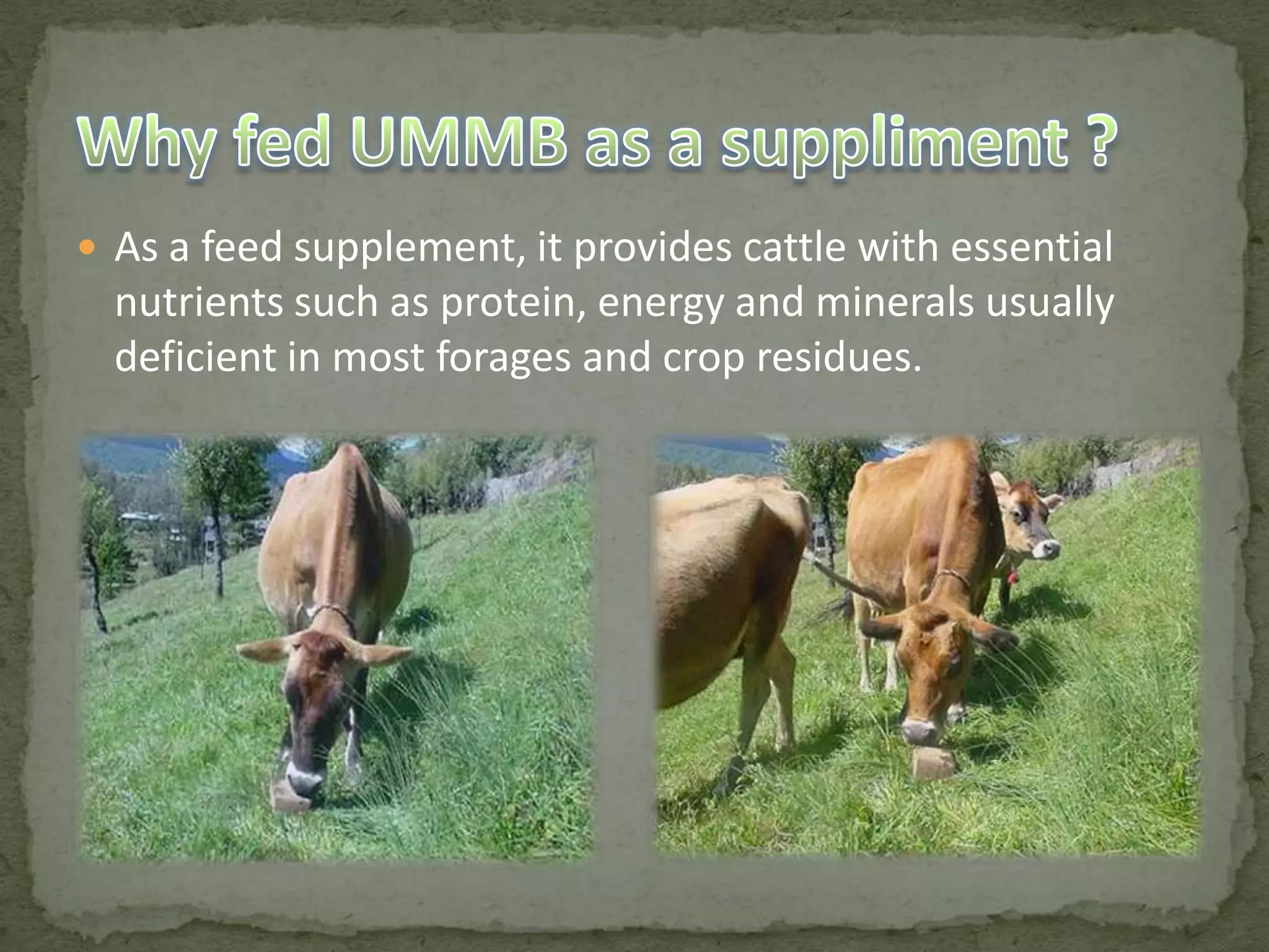 Urea treatment of straw | PPTX