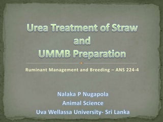 Urea treatment of straw | PPTX