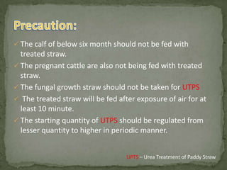 Urea treatment of straw | PPTX