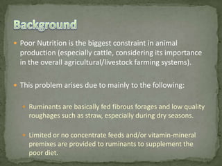 Urea treatment of straw | PPTX