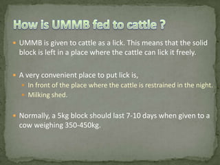 Urea treatment of straw | PPTX