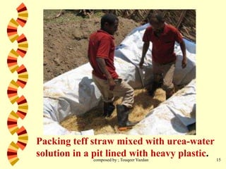 Urea treatment of straw | PPTX