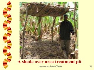Urea treatment of straw | PPTX