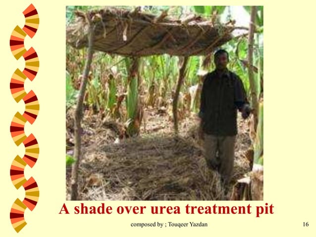 Urea treatment of straw | PPTX