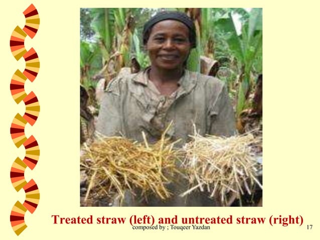 Urea treatment of straw | PPTX