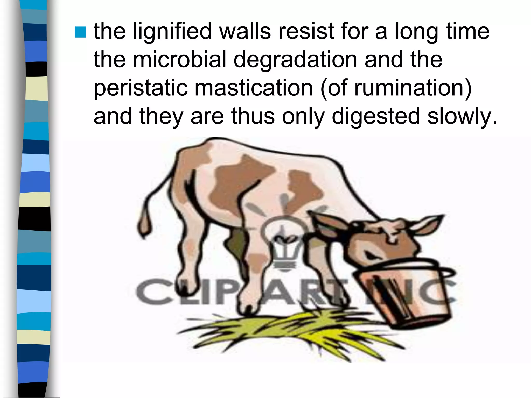 Urea treatment of wheat straw | PPTX