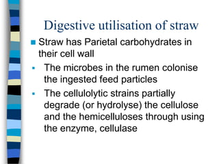 Urea treatment of wheat straw | PPTX
