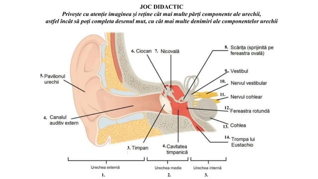 urechea.pdfghyghyyyyyyyyyyyyyyyyyyyyyyyyyyyyyyyyyyyyyyyyy | PDF