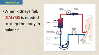 Urgent Hemodialysis Sessions Impacts and Outcome | PPT