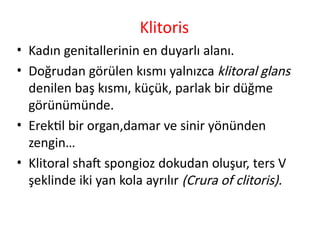 Üreme sistemi anatomisi ile ilgili sunumu | PPTX