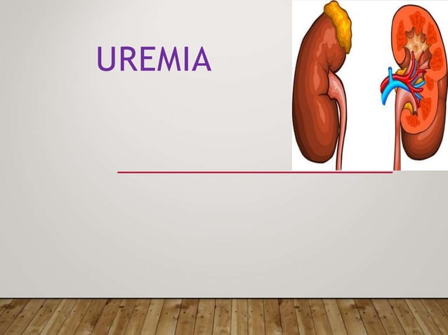 uremia, treatment, symptoms , 12222.pptx