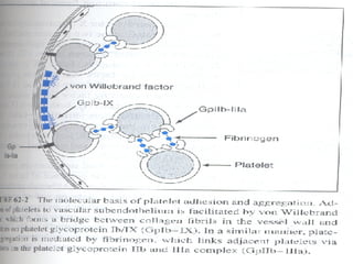 Uremic Bleed | PPT