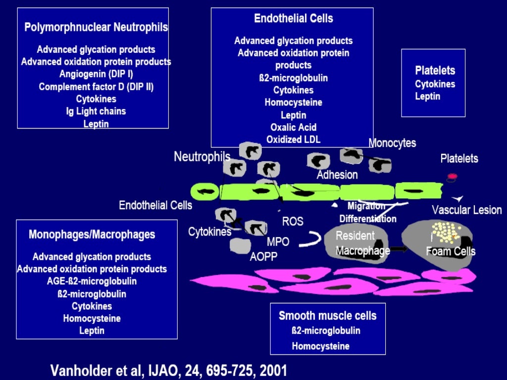 Uremic toxins