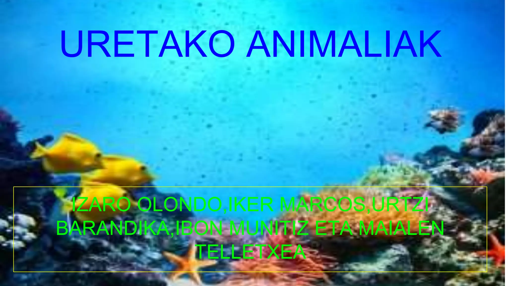 Uretako animaliak | PPTX