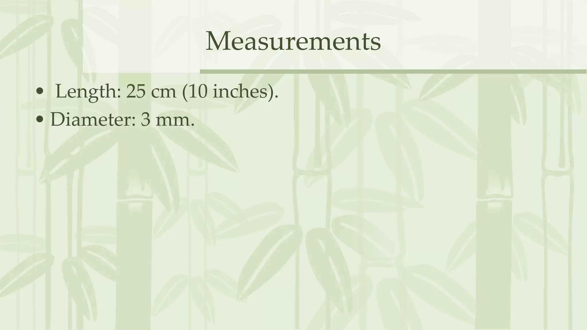 Anatomy of Ureter | PPTX