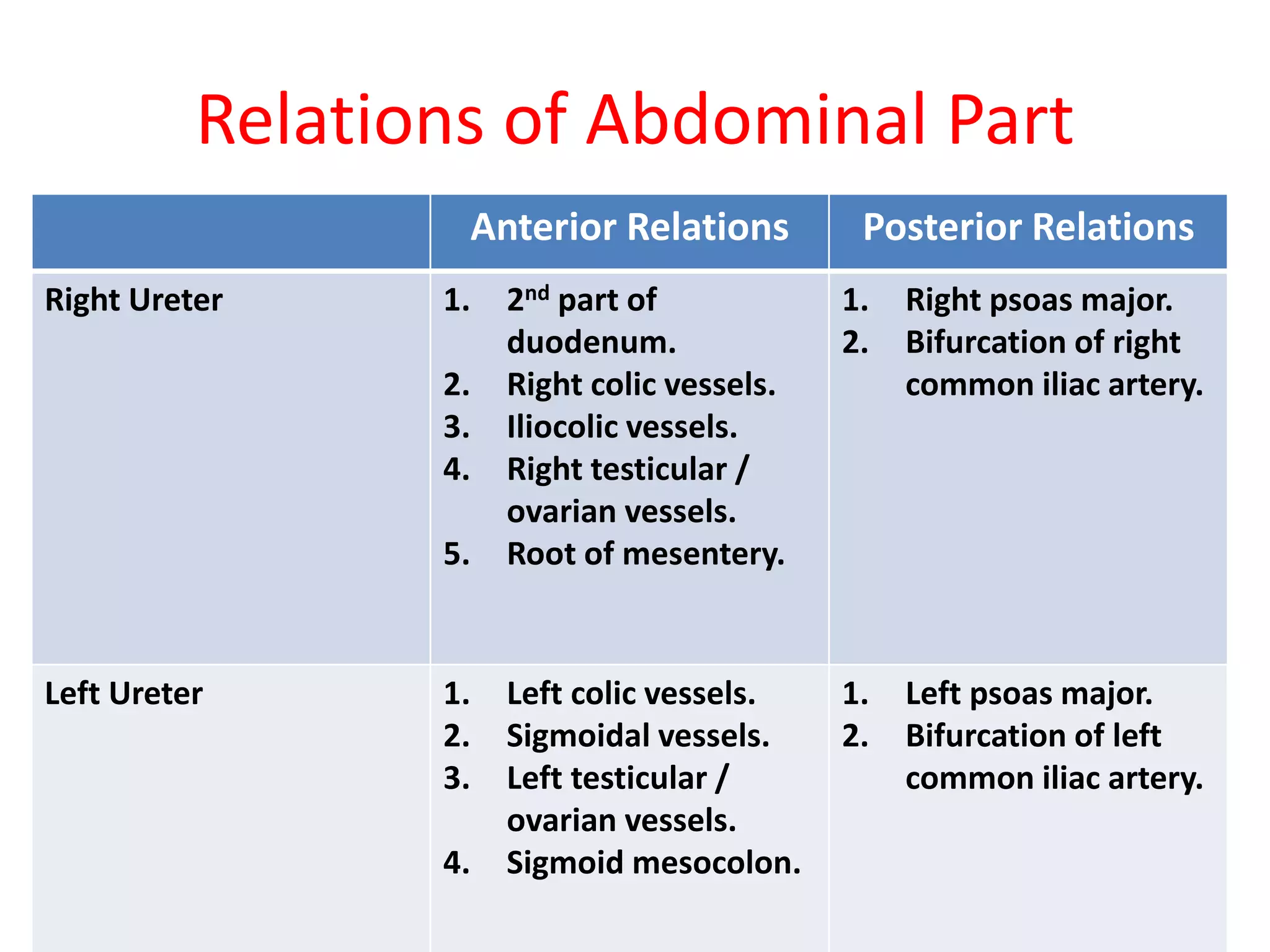 Ureter | PPTX