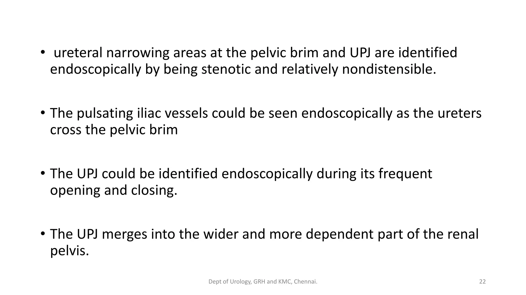 URETER - ANATOMY, PHYSIOLOGY, EMBRYOLOGY | PDF