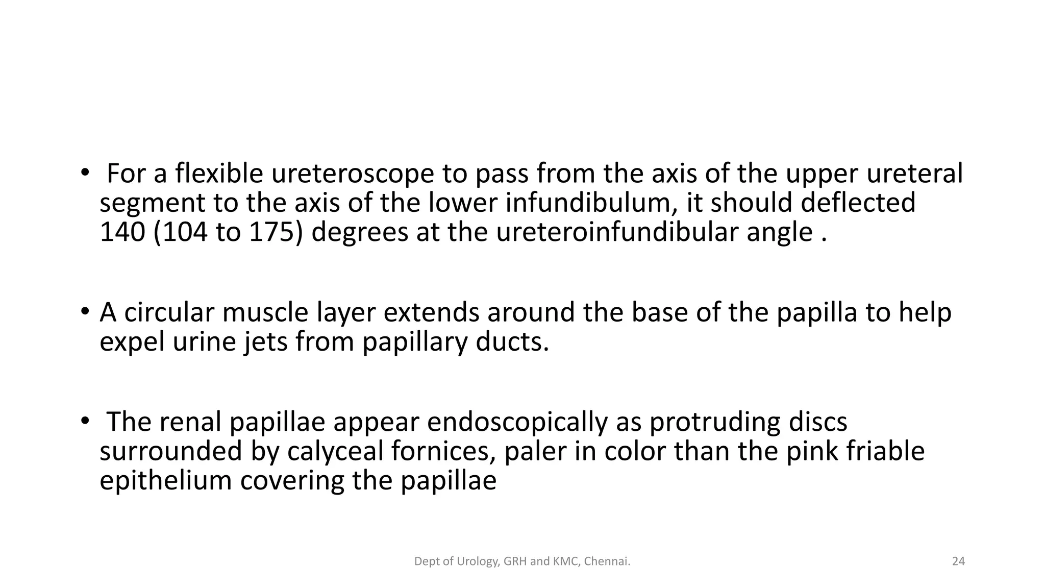 URETER - ANATOMY, PHYSIOLOGY, EMBRYOLOGY | PDF