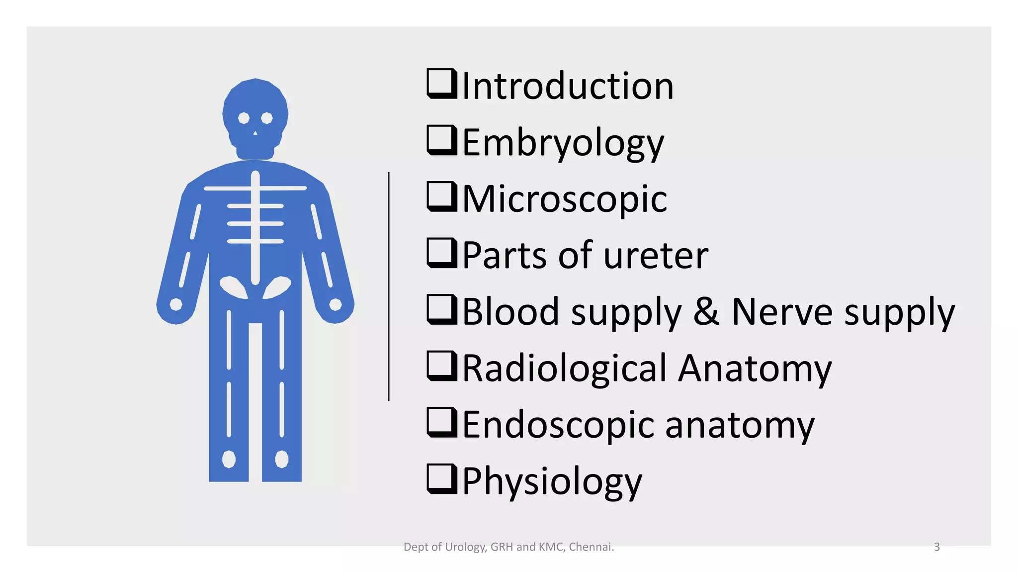 URETER - ANATOMY, PHYSIOLOGY, EMBRYOLOGY | PDF