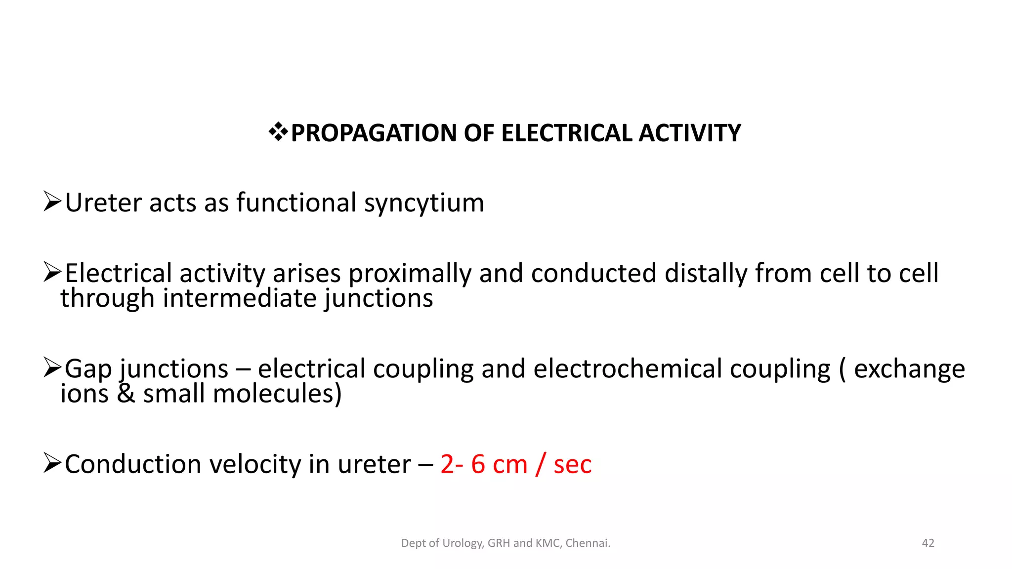 URETER - ANATOMY, PHYSIOLOGY, EMBRYOLOGY | PDF