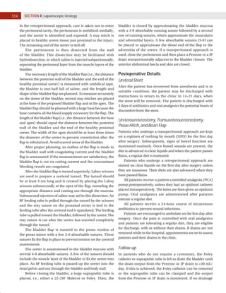 Ureteral Injury and Laparoscopy | PDF