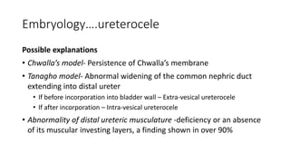 URETERAL ANOMALIES.pptx