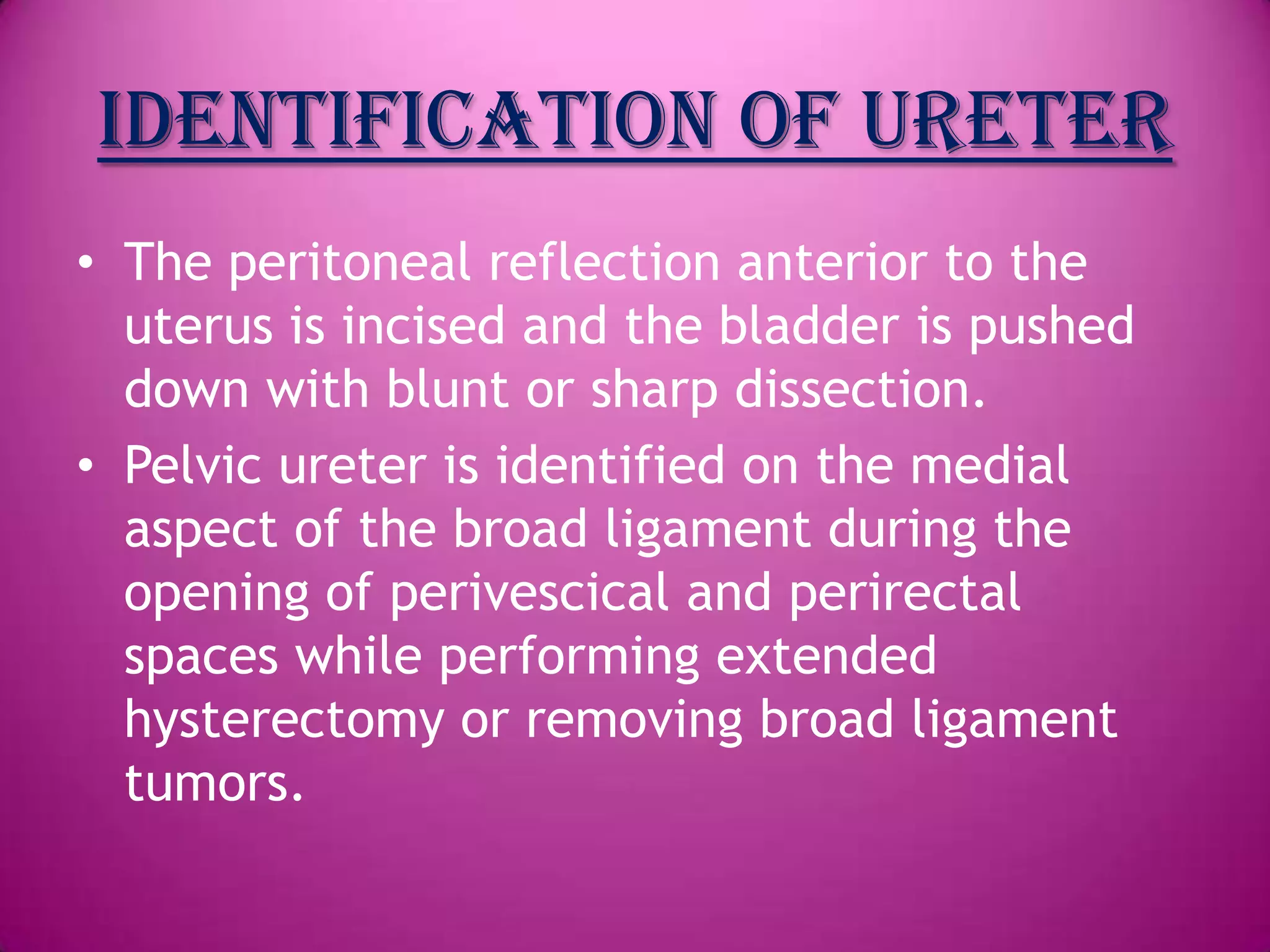 Ureter anatomy injury n diversion | PPTX