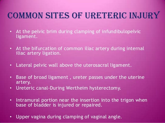 Ureter anatomy injury & diversion