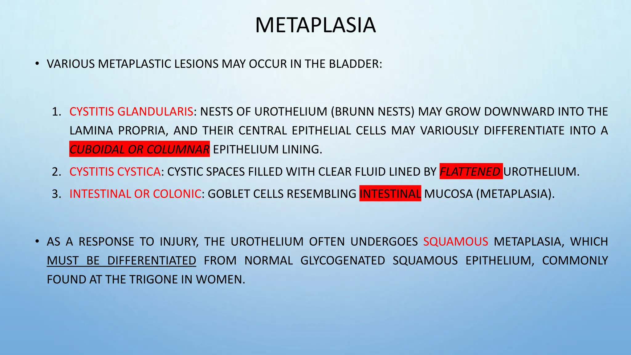 Ureter pathology and urinary bladder.pptx