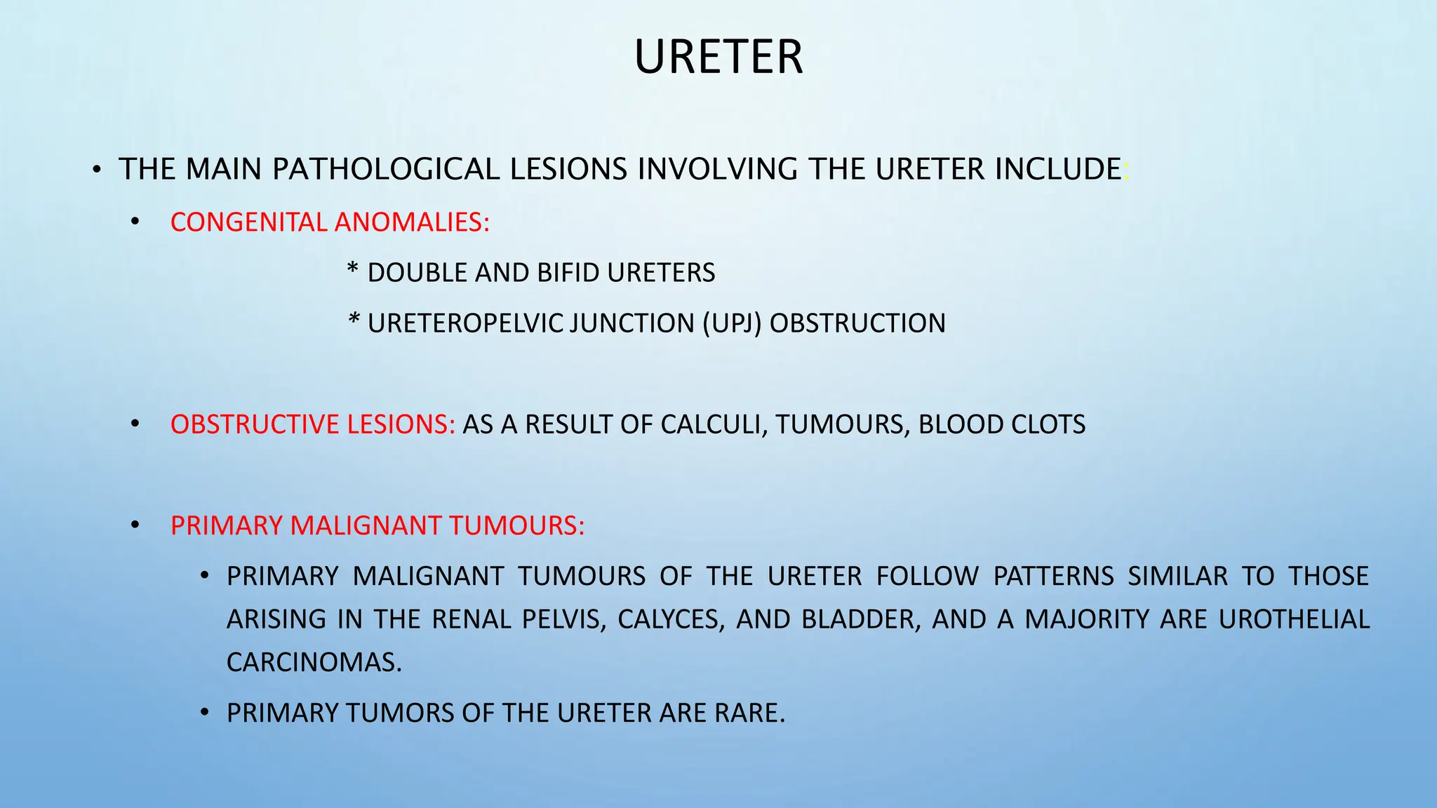 Ureter pathology and urinary bladder.pptx