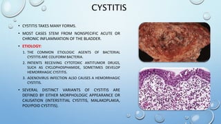 Ureter pathology and urinary bladder.pptx