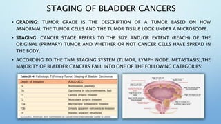 Ureter pathology and urinary bladder.pptx