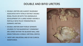 Ureter pathology and urinary bladder.pptx