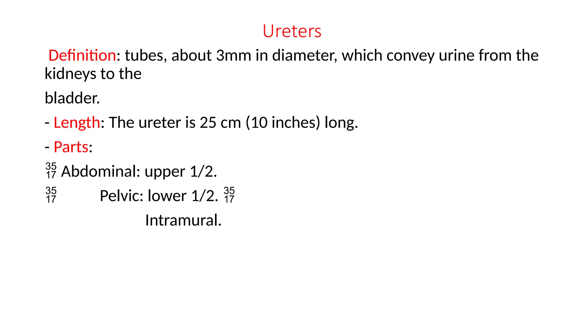 anatomy of ureter, bladder and urethra.pptx