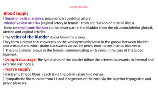 anatomy of ureter, bladder and urethra.pptx