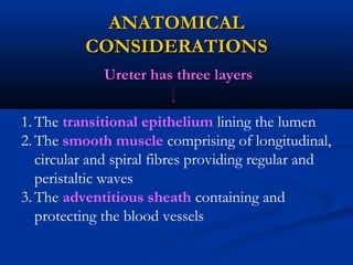 Ureteric | PPT