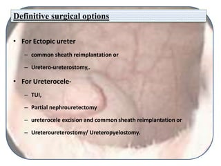 Ureterocele, | PPT